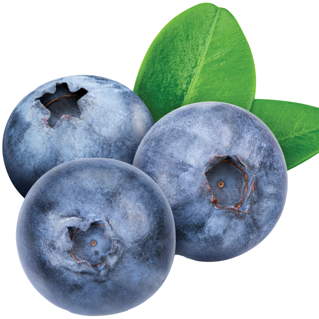 Blueberry