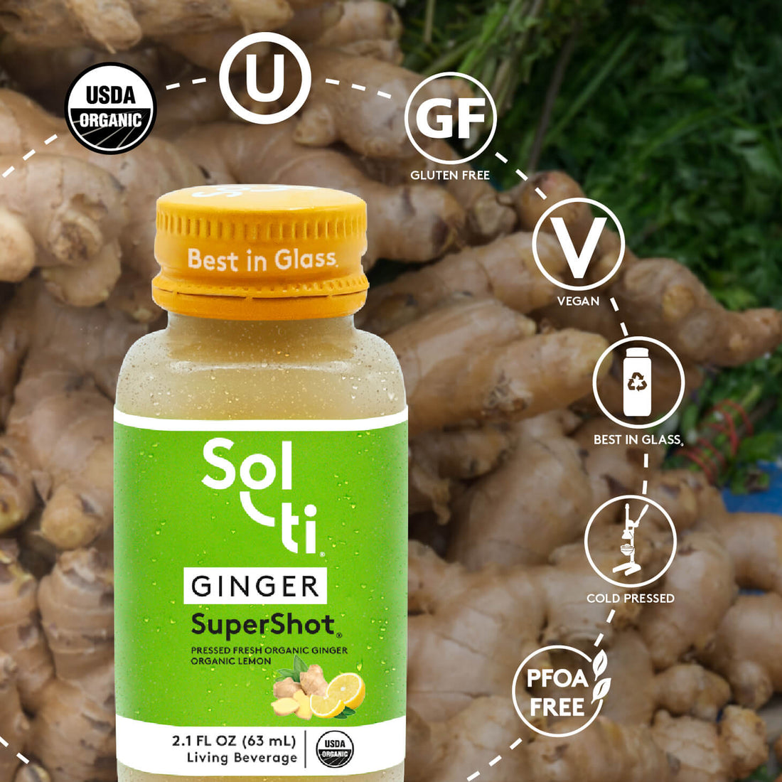 GINGER SuperShot® - Organic Ginger, Lemon and Digestion Shot - Sol-ti